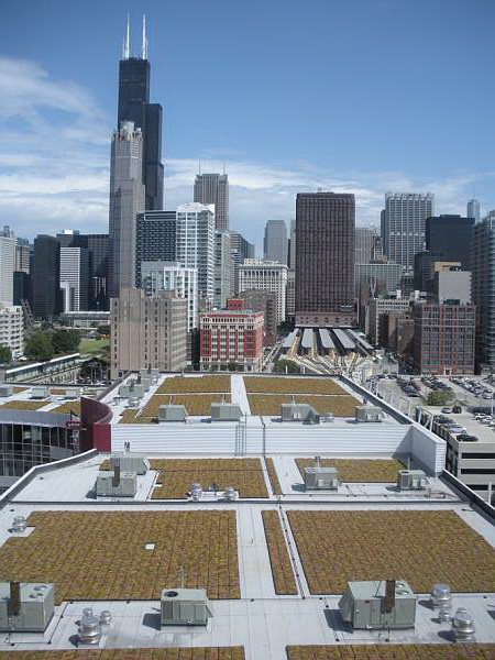 Roosevelt Collections3 | A1 RoofingA1 Roofing